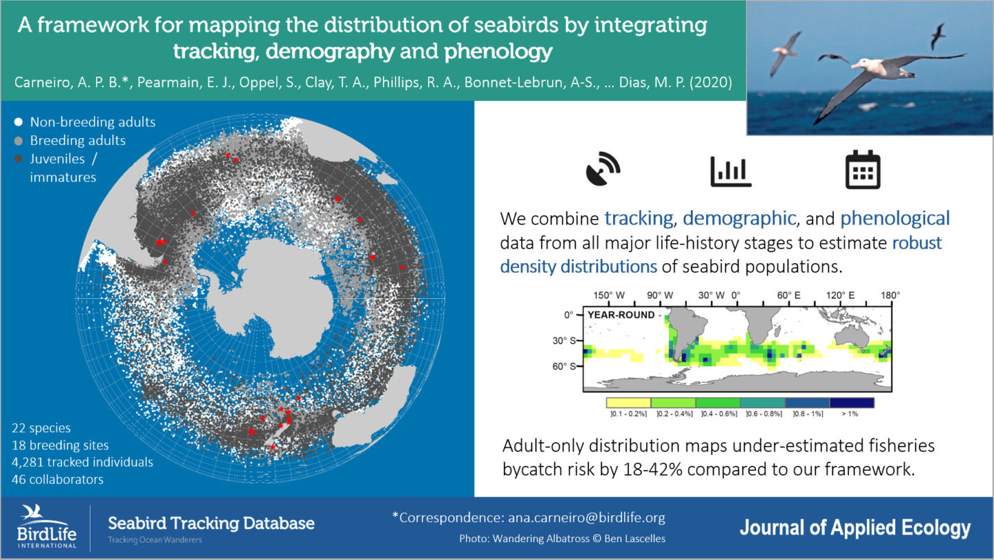 Identifying Hotspots of Threats to Marine Megafauna - Seabird Tracking ...