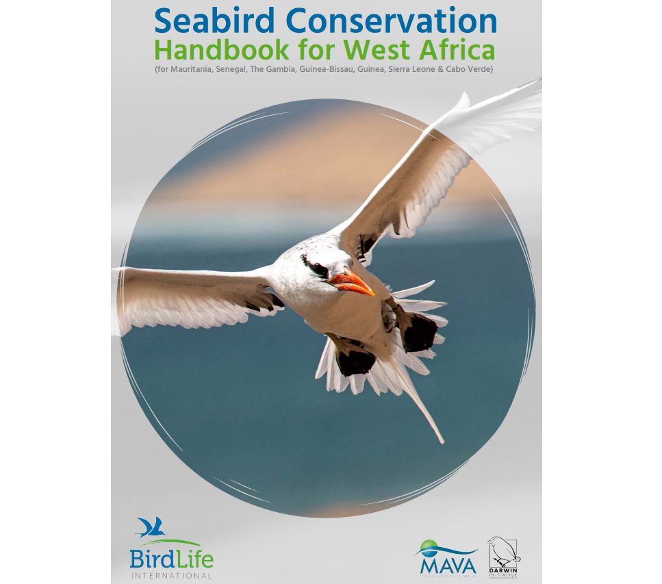 News Blog - Seabird Tracking Database