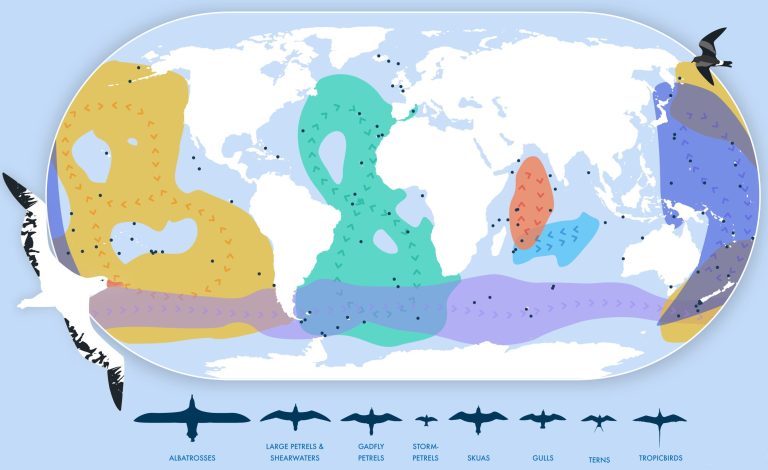 Home - Seabird Tracking Database