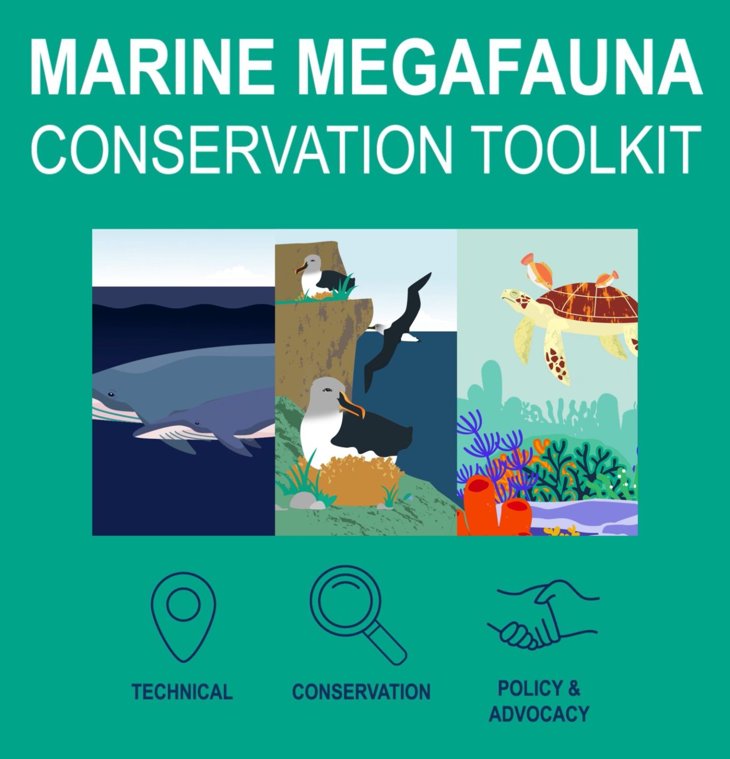 Marine Megafauna Conservation Toolkit - Seabird Tracking Database